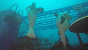 Shipwrecks, Underwater Art, Sunken Subway Cars: Unique Artificial Reefs ...